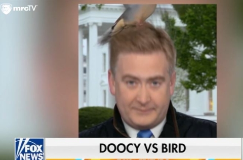 Doocy Tells Trump to ‘Do Something’ After ‘A Bird Just Landed on My Head!’ at WH